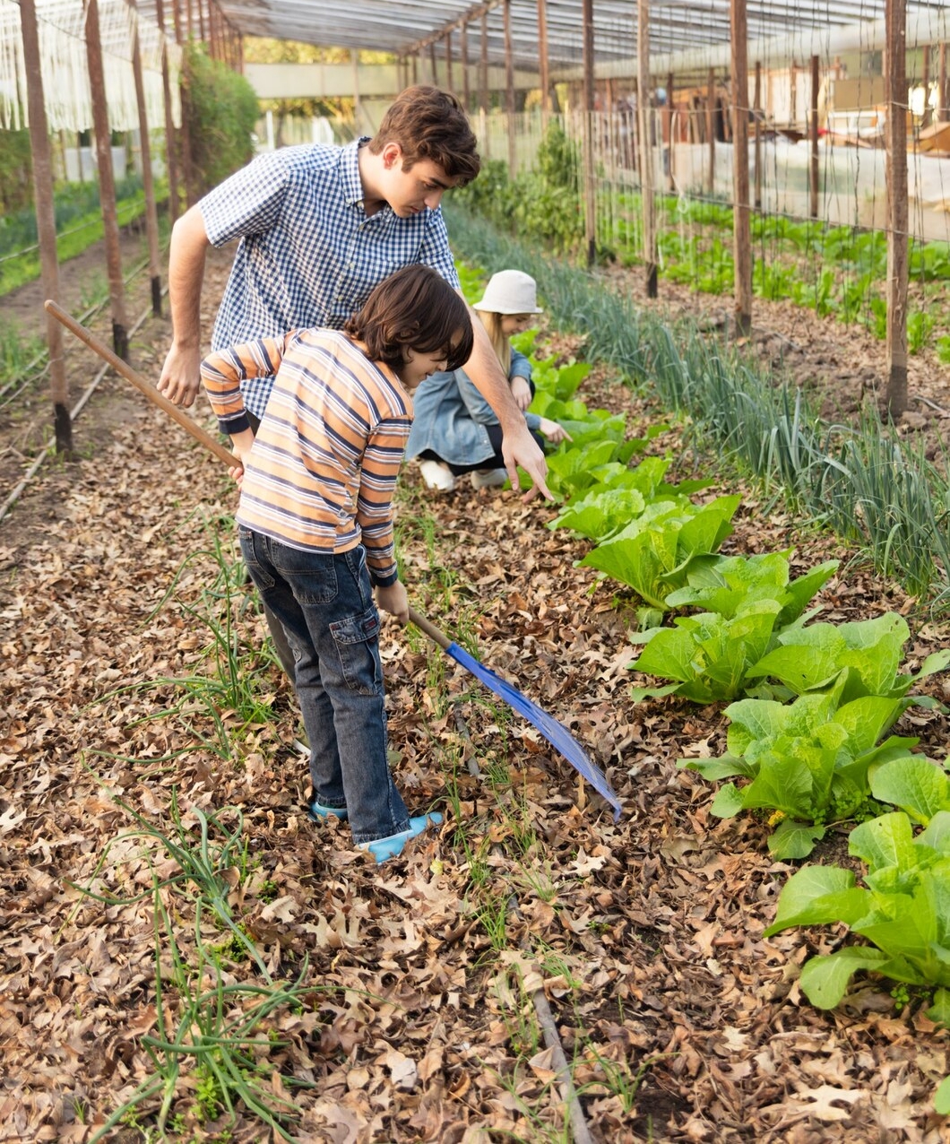 Polyculture: The Benefits of Biodiverse Farming for South African ...