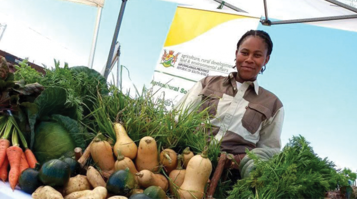 From Jobless Graduate to Farming Success: How Mfusi Transformed Her ...