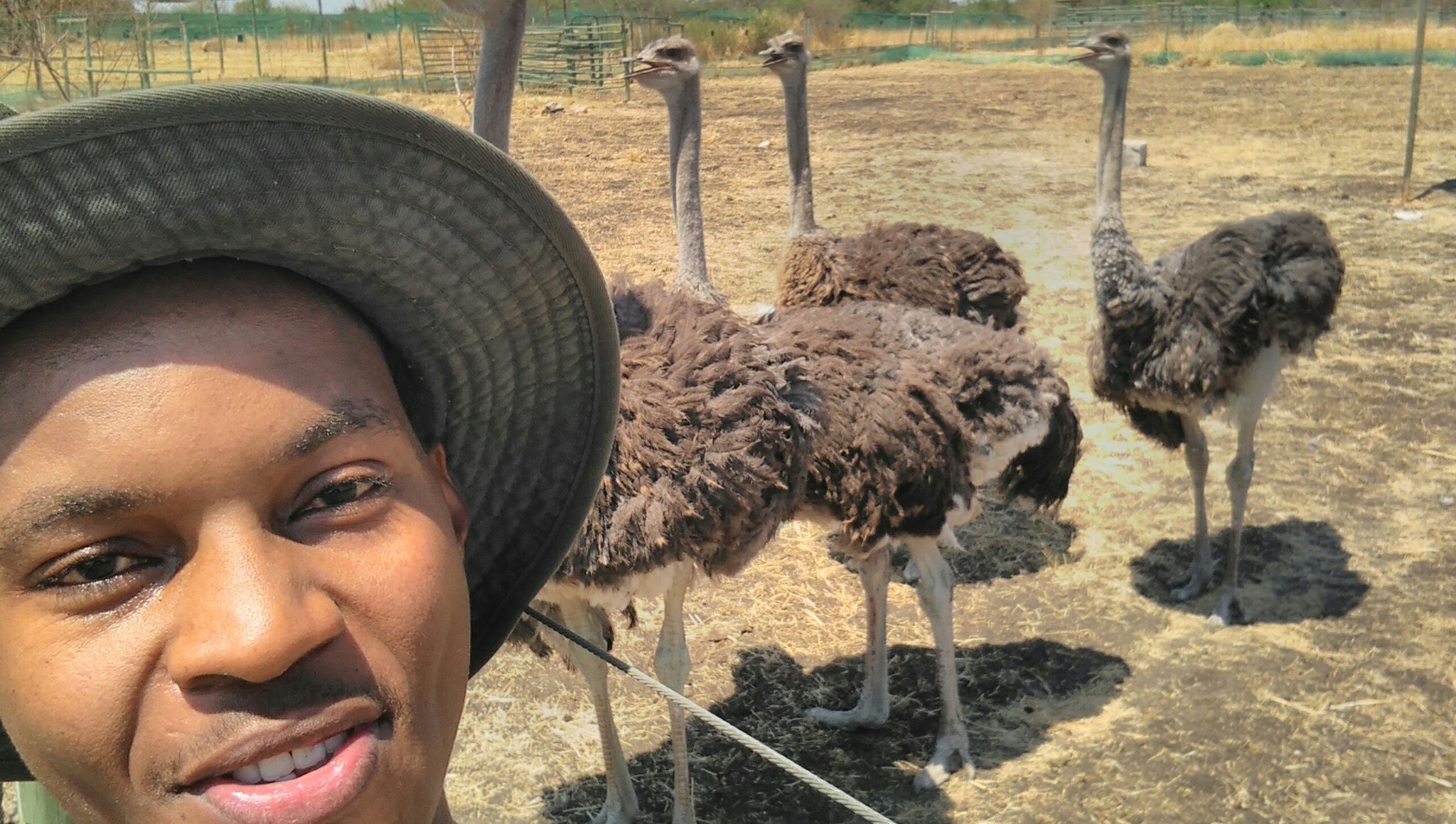 This South African Farmer Sold His Car to Chase an Ostrich Farming ...