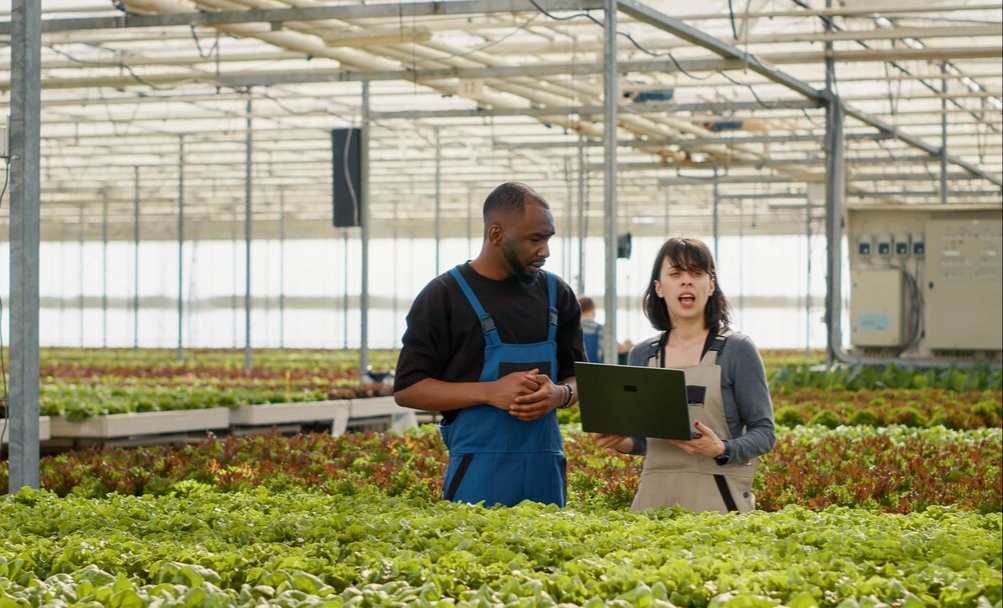 The Basics of Setting Up and Running an Agricultural Business with ...
