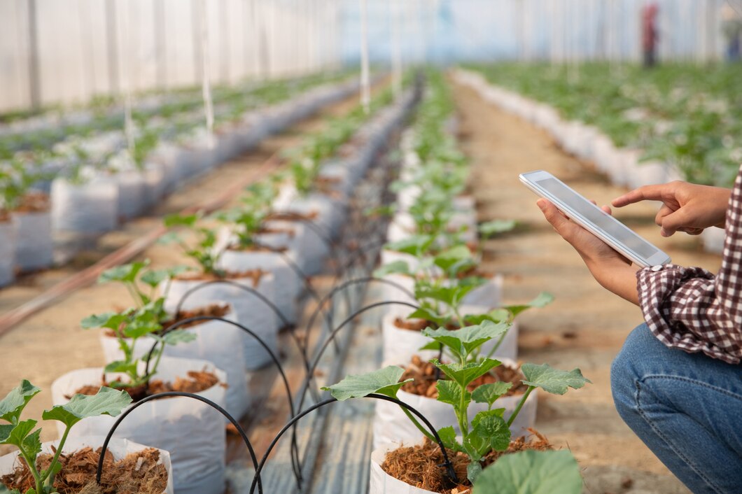 Smart Drip Irrigation in Australia: A Blueprint for South Africa ...