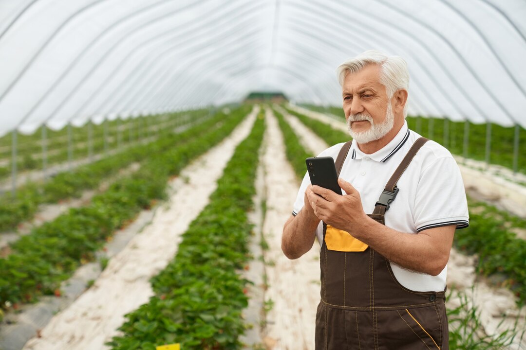 How to Use Simple SMS Services for Market Prices and Weather Alerts ...