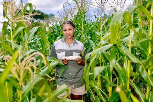 Ayanda Zulu: Building a Farming Legacy in eShowe Through Determination ...