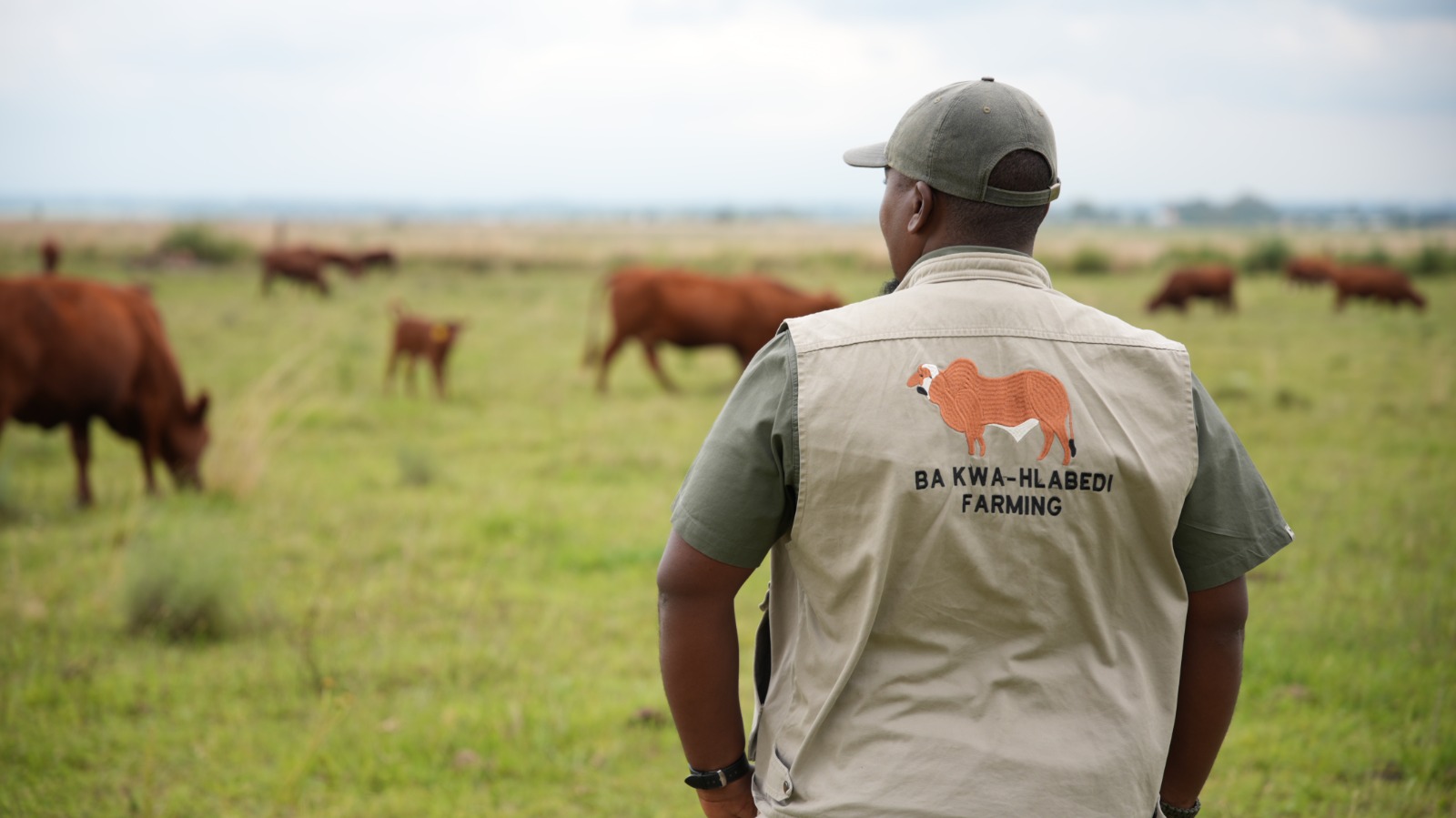 Thabang Hlabedi Builds a Resilient Family Farming Business in Gauteng ...